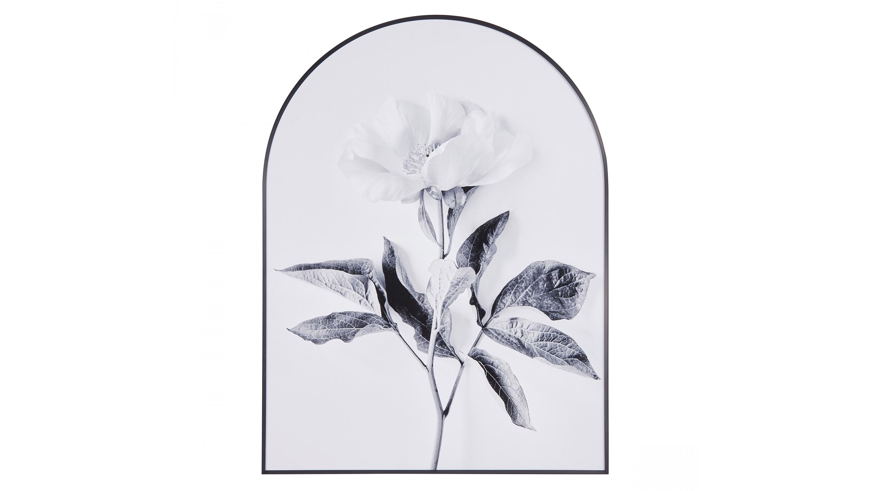 Milly Arch Wall Art | Domayne