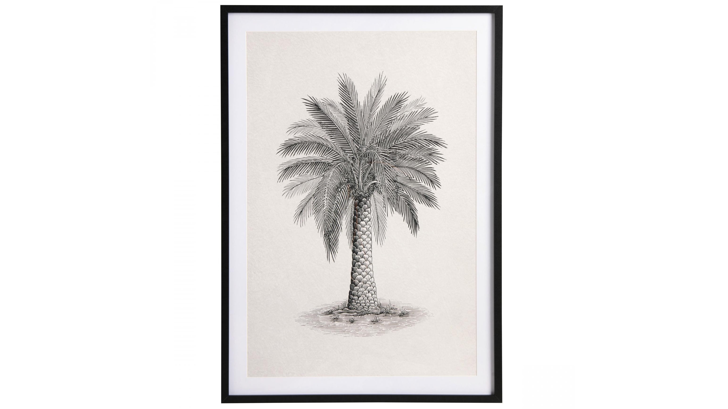 Palm It Black Wall Art | Domayne