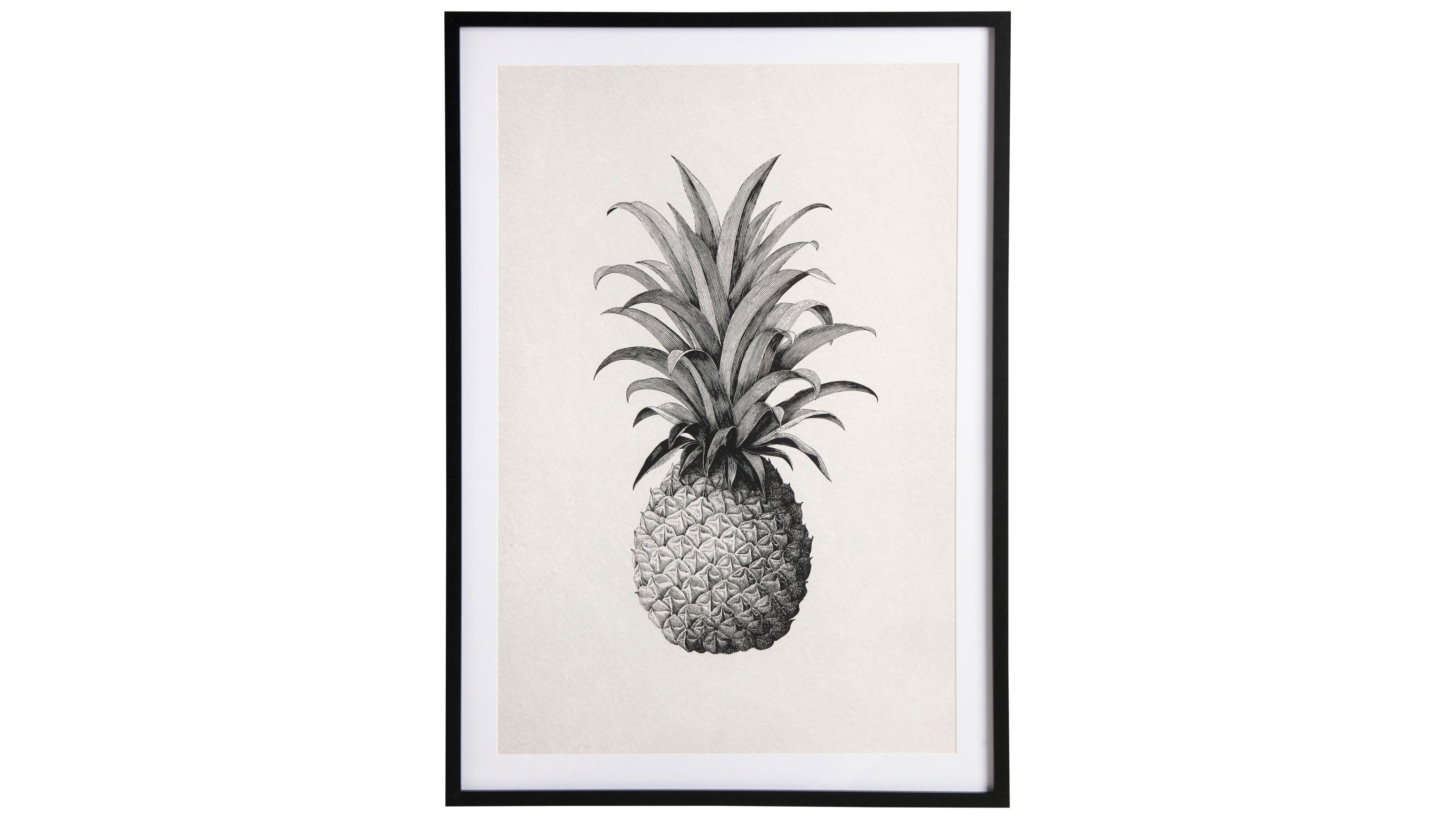The Pine Apple Wall Art | Domayne