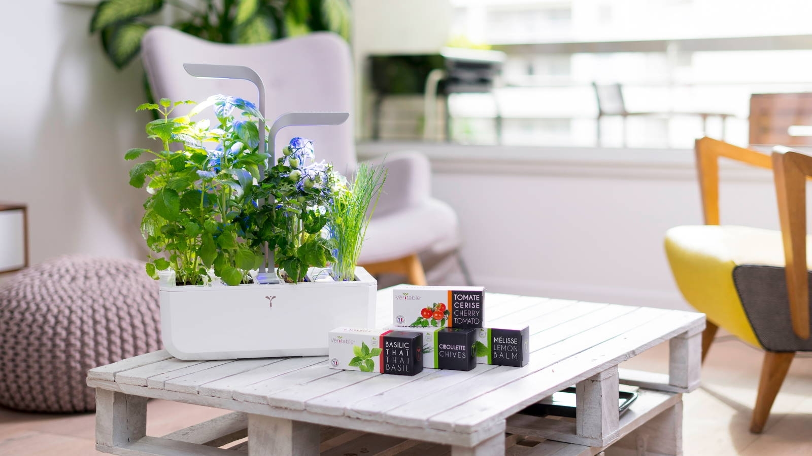 Veritable Smart Hydro Indoor Garden | Domayne